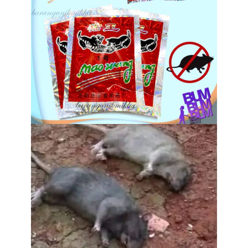Jual racun tikus obat tikus beras merah tinggal tabur (hati hati barang ...