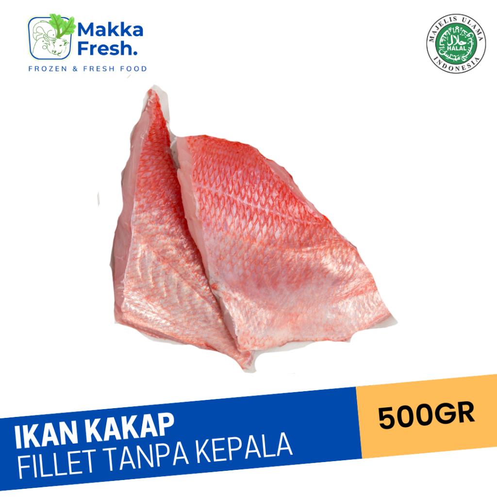 Jual ikan kakap fillet 500 gram | Shopee Indonesia
