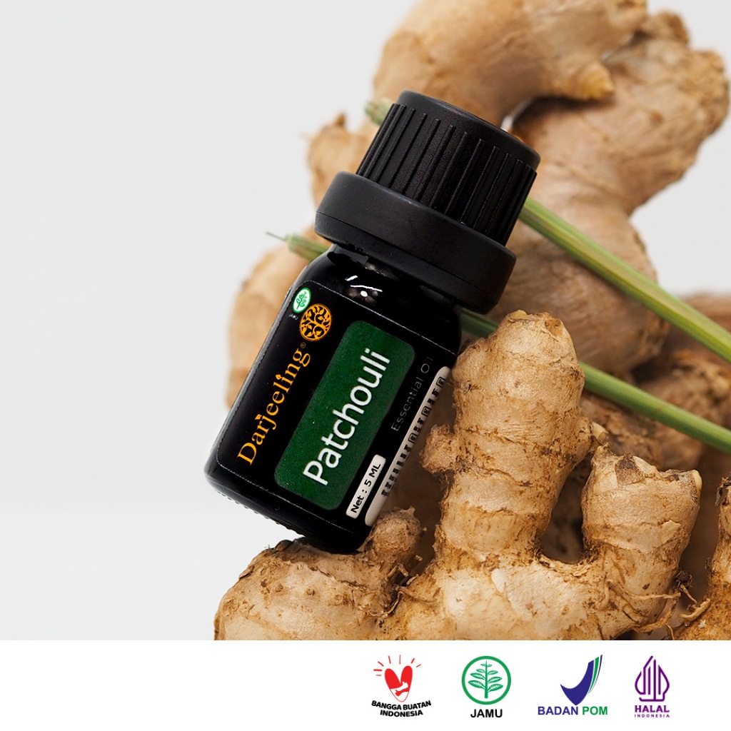 Jual 5ml Patchouli Essential Oil / Minyak Nilam 100% Murni | Shopee ...