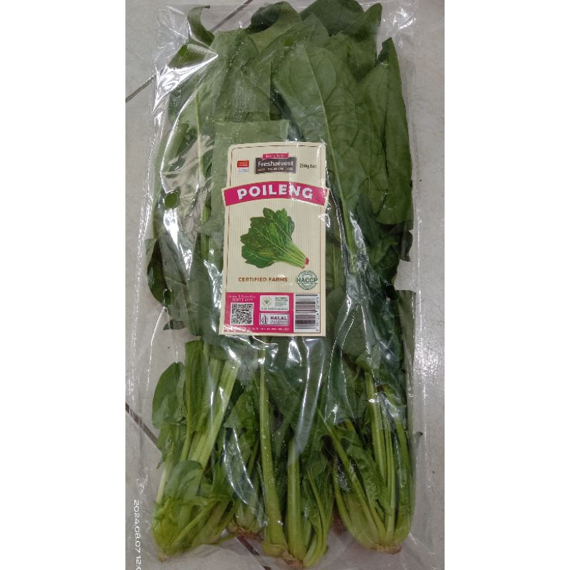 Jual Poileng/Bayam Jepang/Bayam horenso/Horenzo | Shopee Indonesia