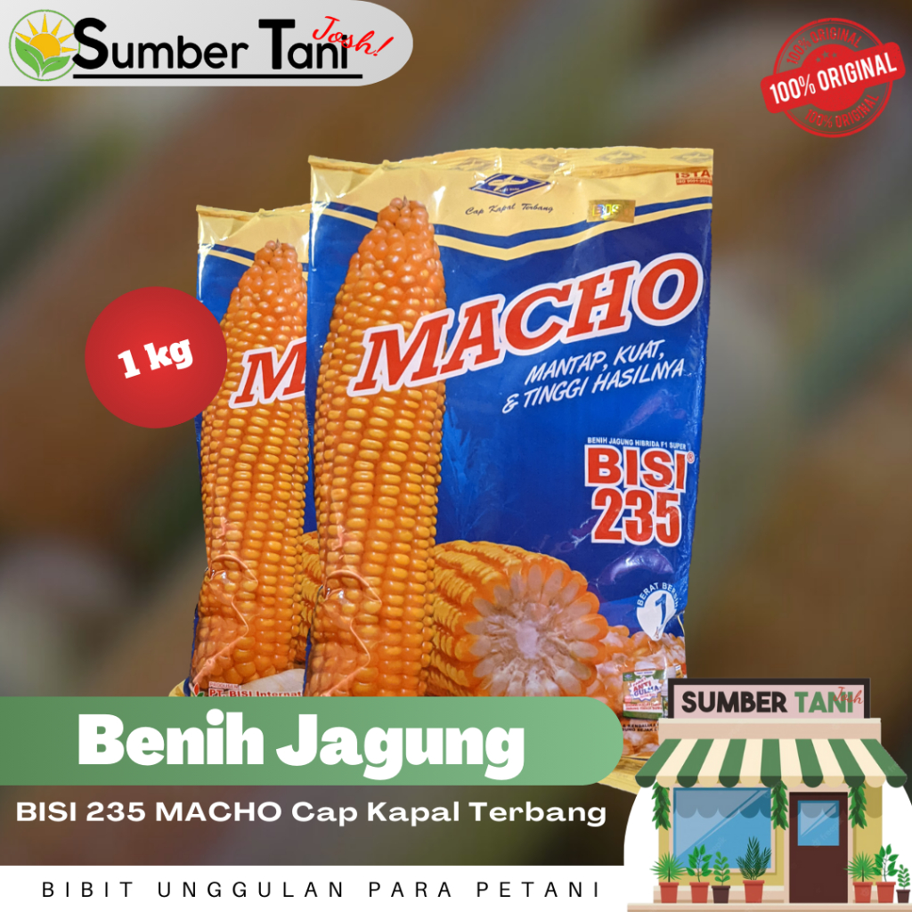 Jual Benih Jagung Hibrida BISI-235 Macho Cap KAPAL TERBANG 1kg | Shopee ...