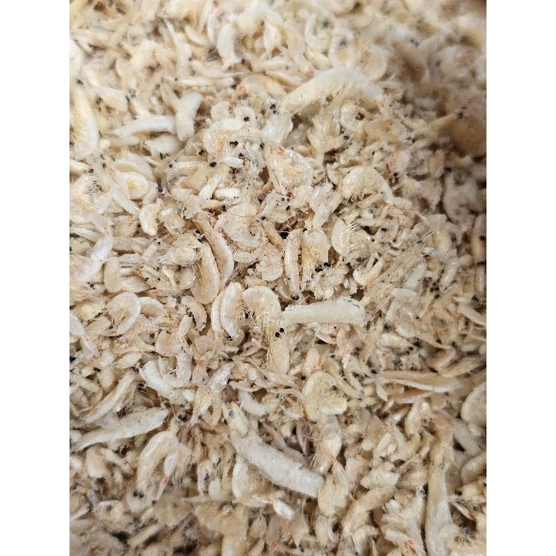 Jual Udang Reborn Rencah | Shopee Indonesia
