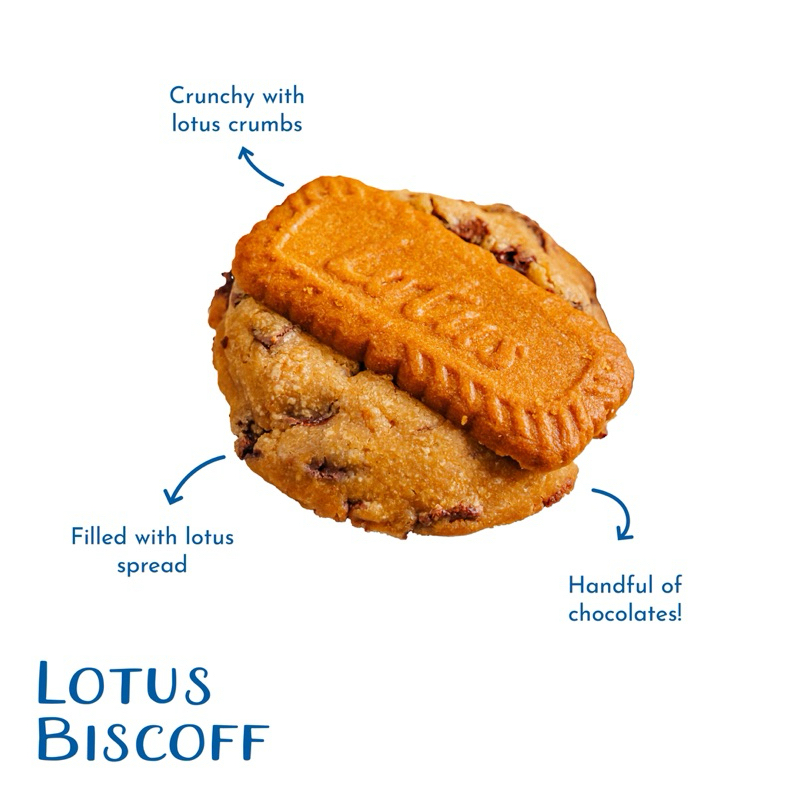 Jual Morning Finds - Lotus Biscoff Soft Baked Premium Cookies | Shopee ...
