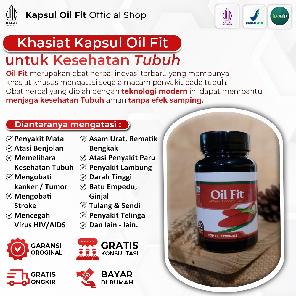 Jual Oil Fit Kapsul Buah Merah Papua Asli Obat Herbal Segala Penyakit ...
