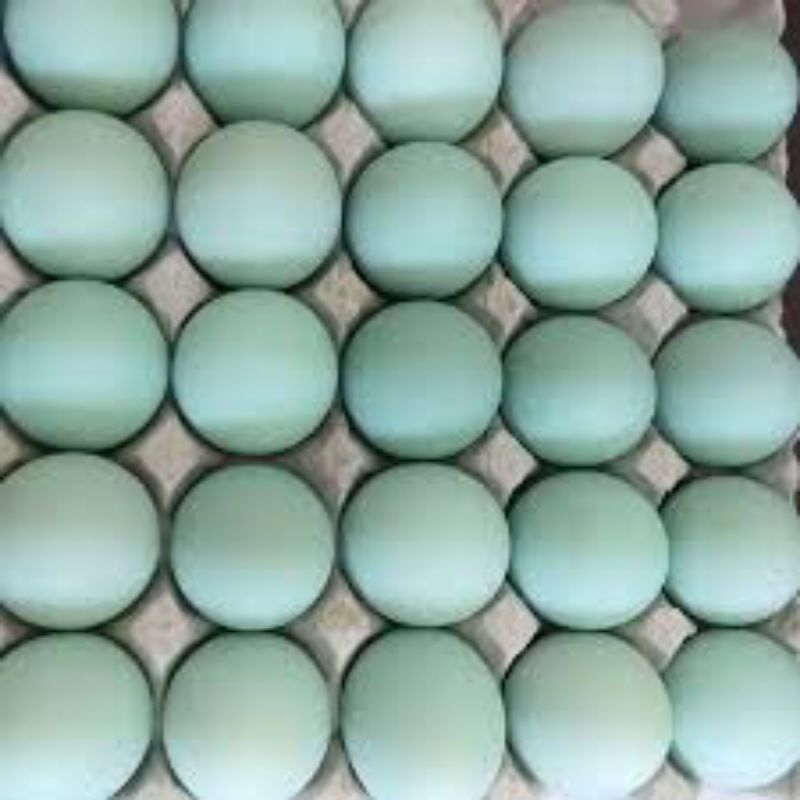 Jual telur bebek 1 pireng | Shopee Indonesia