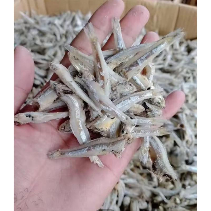 Jual ikan teri jengki/teri rebus kering = 250g/500g/1kg | Shopee Indonesia