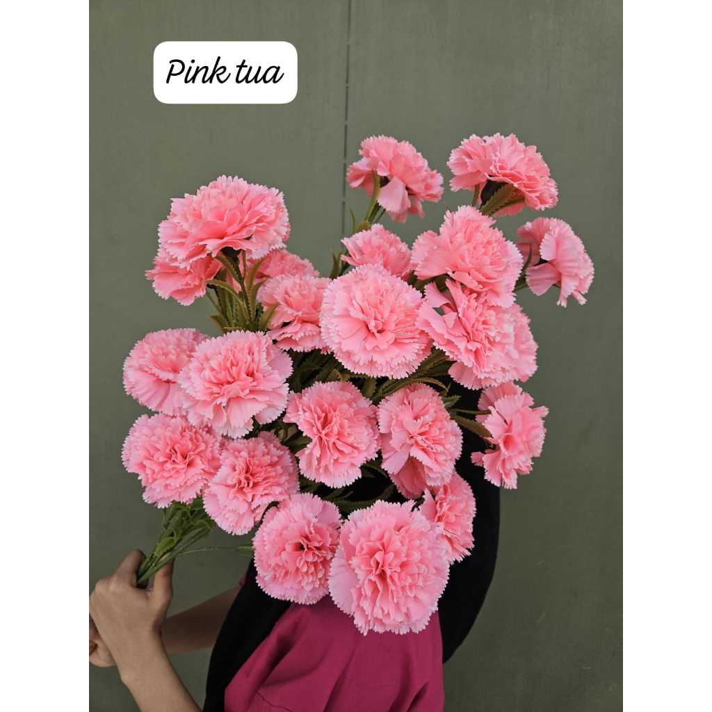 Jual Bunga Anyelir Carnation Tanaman Hias Bunga Carnation Home ...