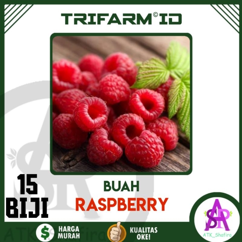 Jual TRIFARM 15 Biji Benih Buah Raspberry Kemasan Ziplock | Shopee ...