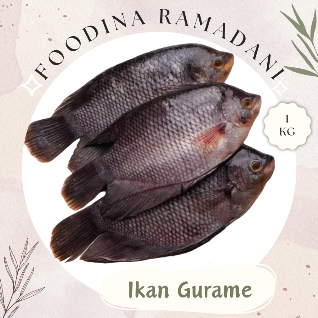 Jual IKAN GURAME Gurami - Gourami Fish Fresh [ 1.000gr ] Harga Per KG ...