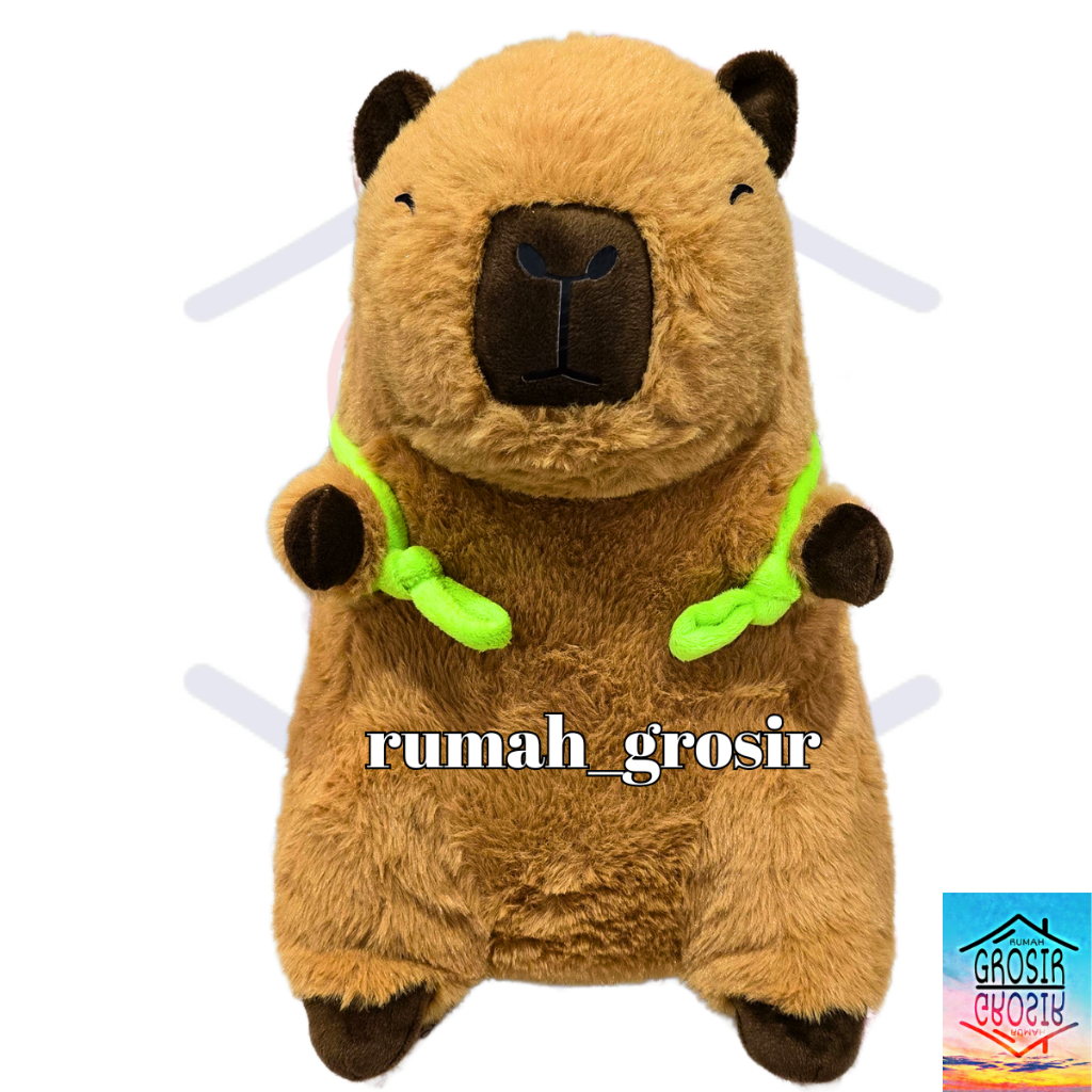 Jual (Rumah Grosir) Boneka Capybara Capibara Marmut Chubby Lucu Imut ...