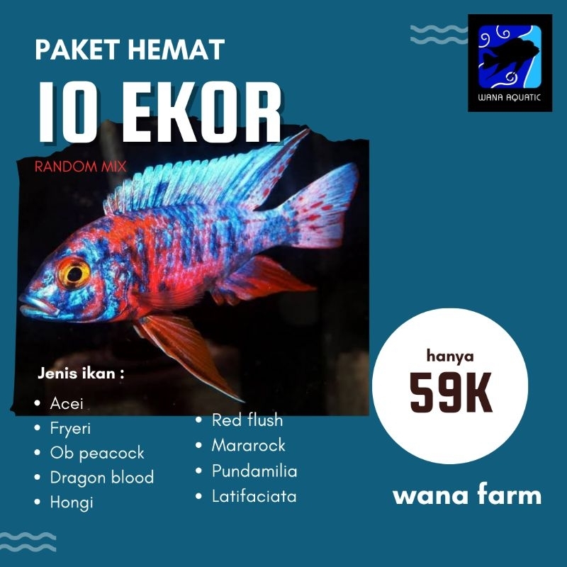 Jual Paket untung 10 ekor | Shopee Indonesia