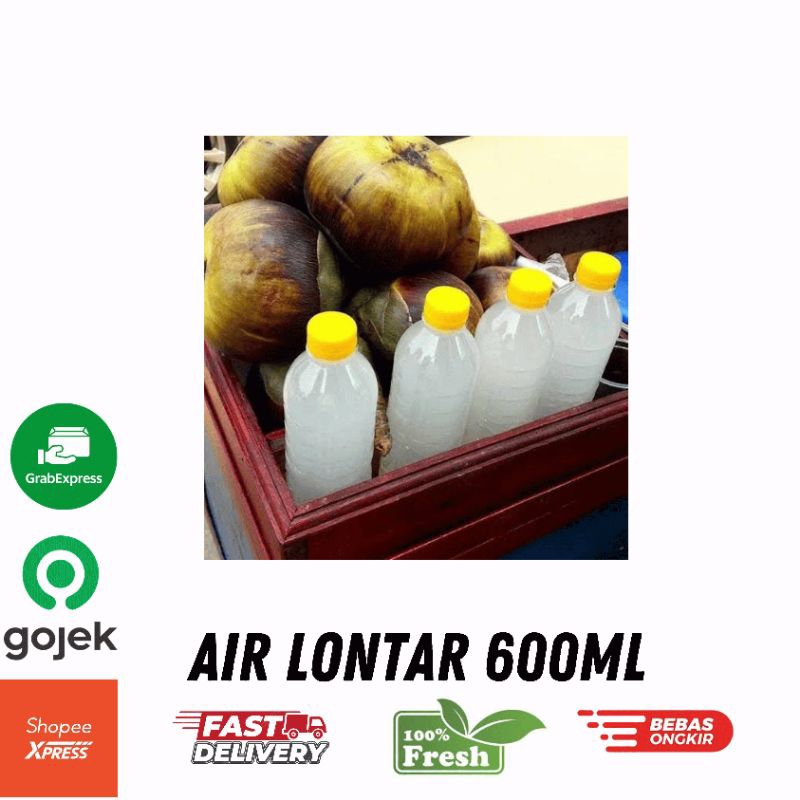 Jual Air Lontar 600ml / Air Buah Lontar / Air Buah Siwalan / Air Lontar ...