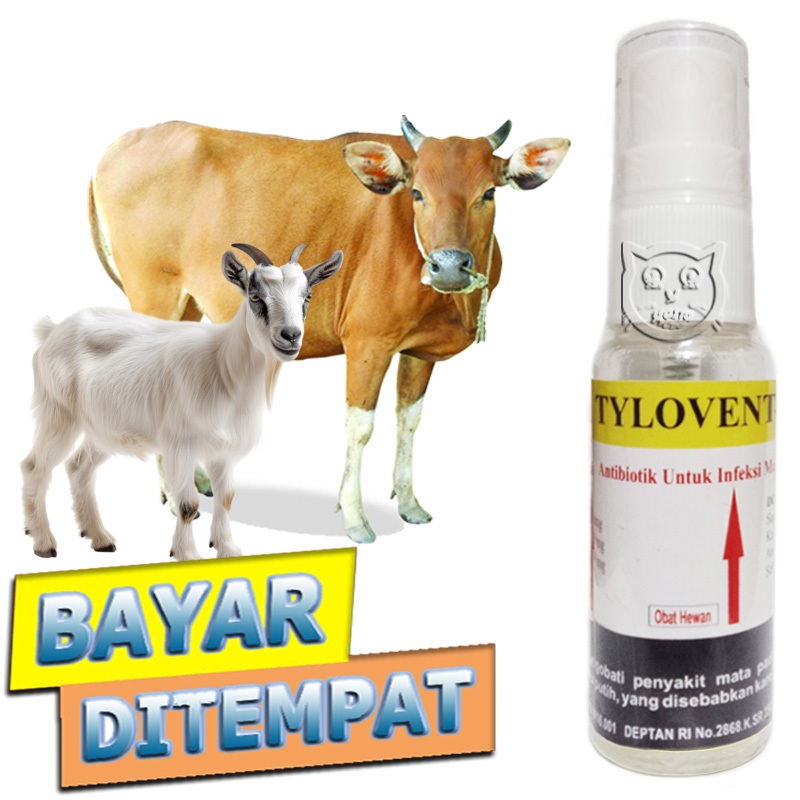 Jual Tylovent Spray Obat Mata Sapi Kambing Domba Kerbau Iritasi Merah ...