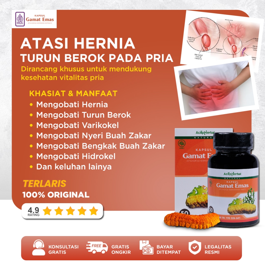 Jual Obat Hernia Turun Berok Varikokel Nyeri Buah Zakar Bengkak Turun ...