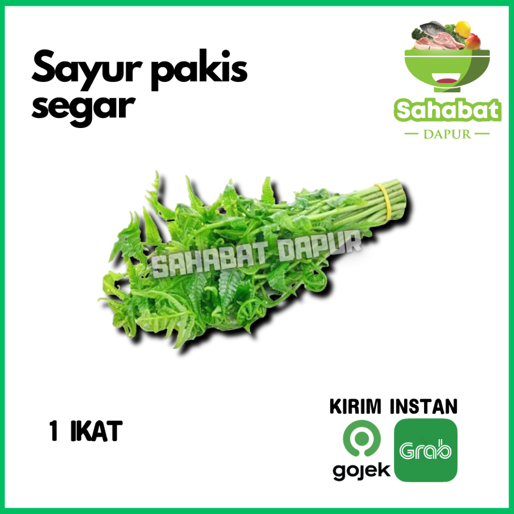 Jual Daun Pakis 1 Ikat - Sahabatdapur | Shopee Indonesia