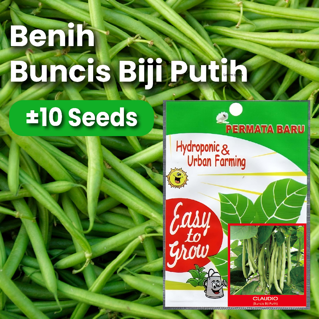 Jual Benih Buncis Putih Claudia 10 Butir Urban Farming | Shopee Indonesia