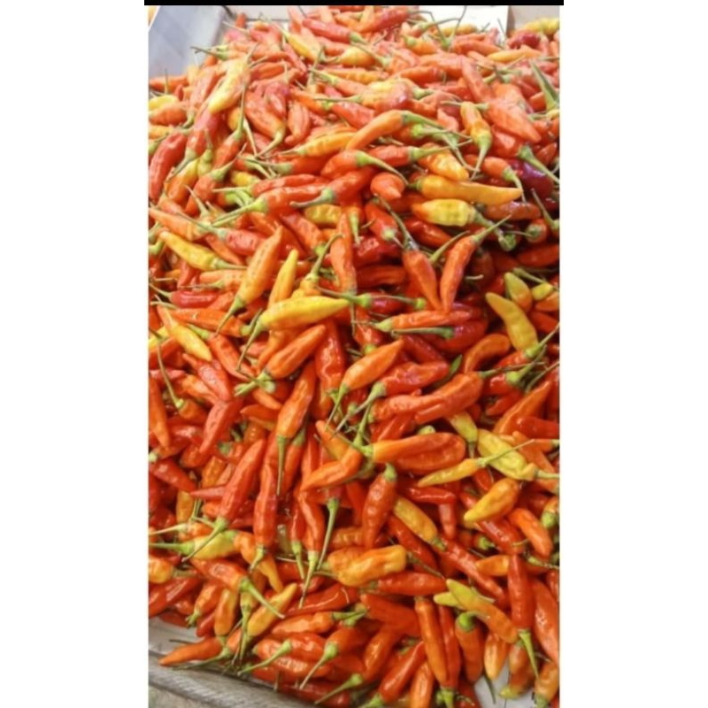 Jual cabe rawit merah harga bervariasi | Shopee Indonesia