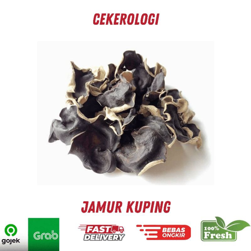 Jual Jamur Kuping 1kg / Jamur Kuping / Jamur Kuping Fresh Berkualitas ...