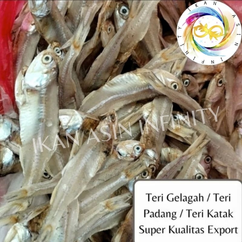 Jual Ikan Asin Teri Gelagah / Teri Padang / Teri Katak Super Kualitas ...