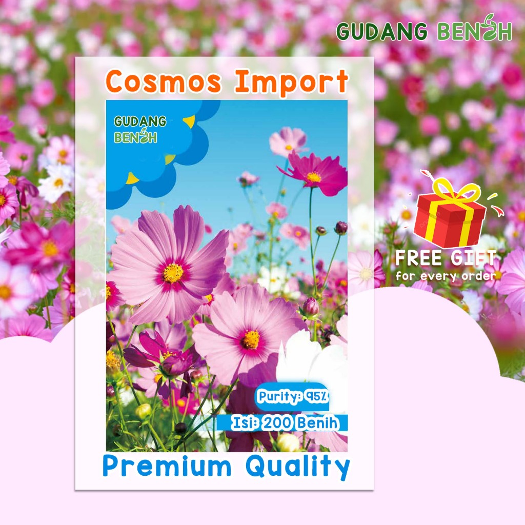 Jual [TERMURAH] Bibit Bunga Cosmos Premium Quality Isi 200 Benih ...