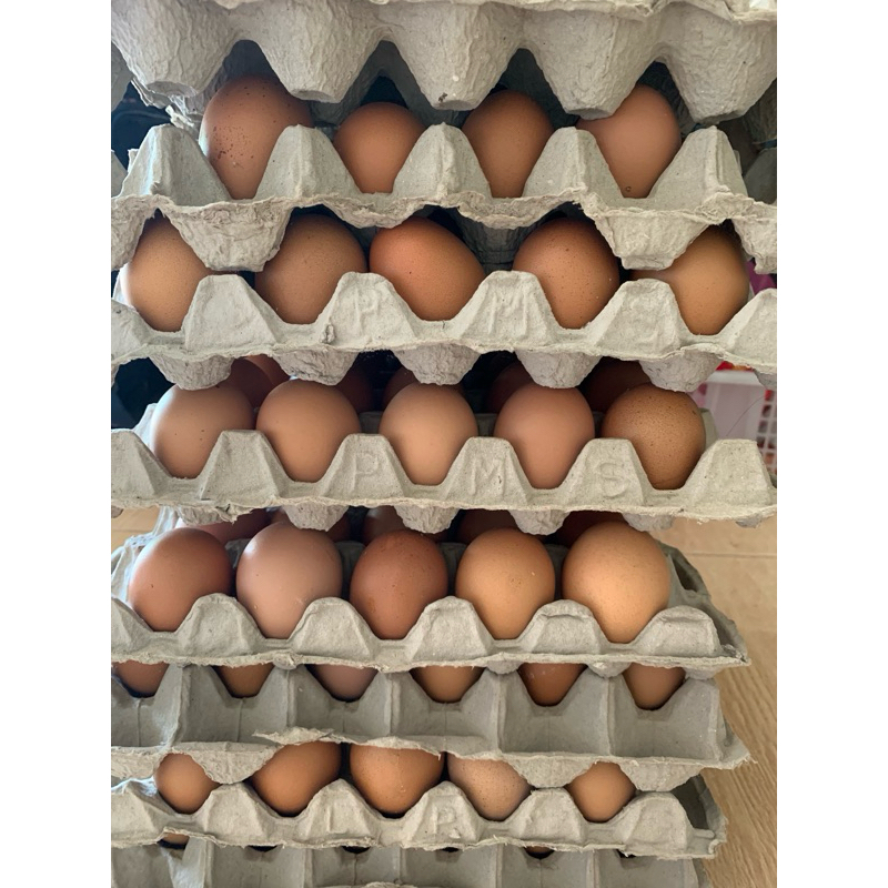 Jual Telur Ayam Negri 1 peti 15kg | Shopee Indonesia