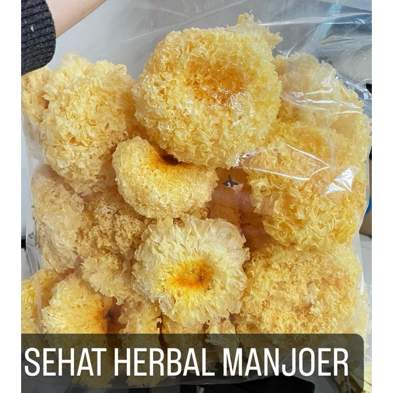 Jual Mok ni kuning / Jamur Putih Salju / Jamur Es / Bai Mu Er / Snow ...