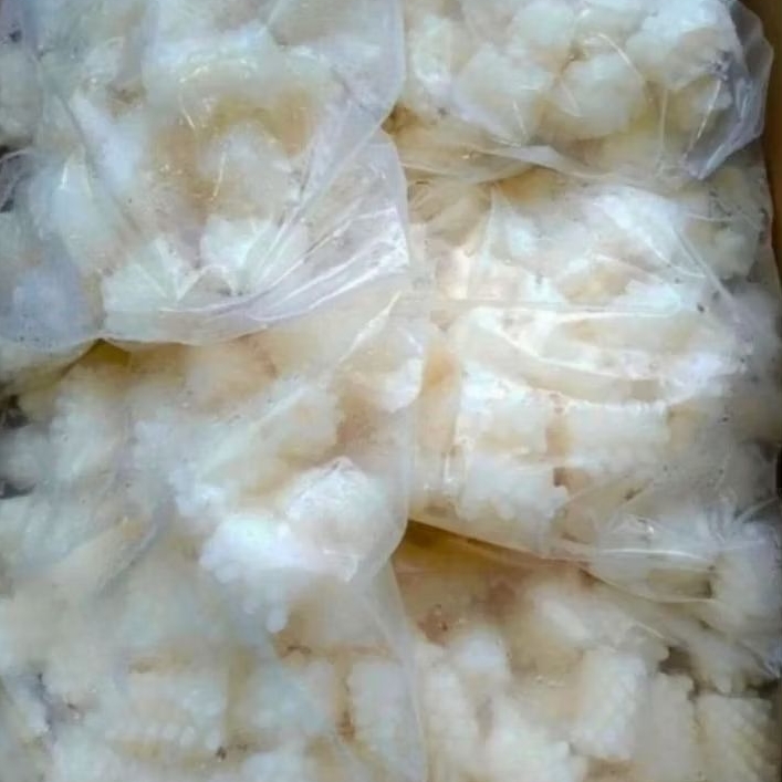 Jual Cumi Flower Fresh Frozen 1 Kg | Shopee Indonesia