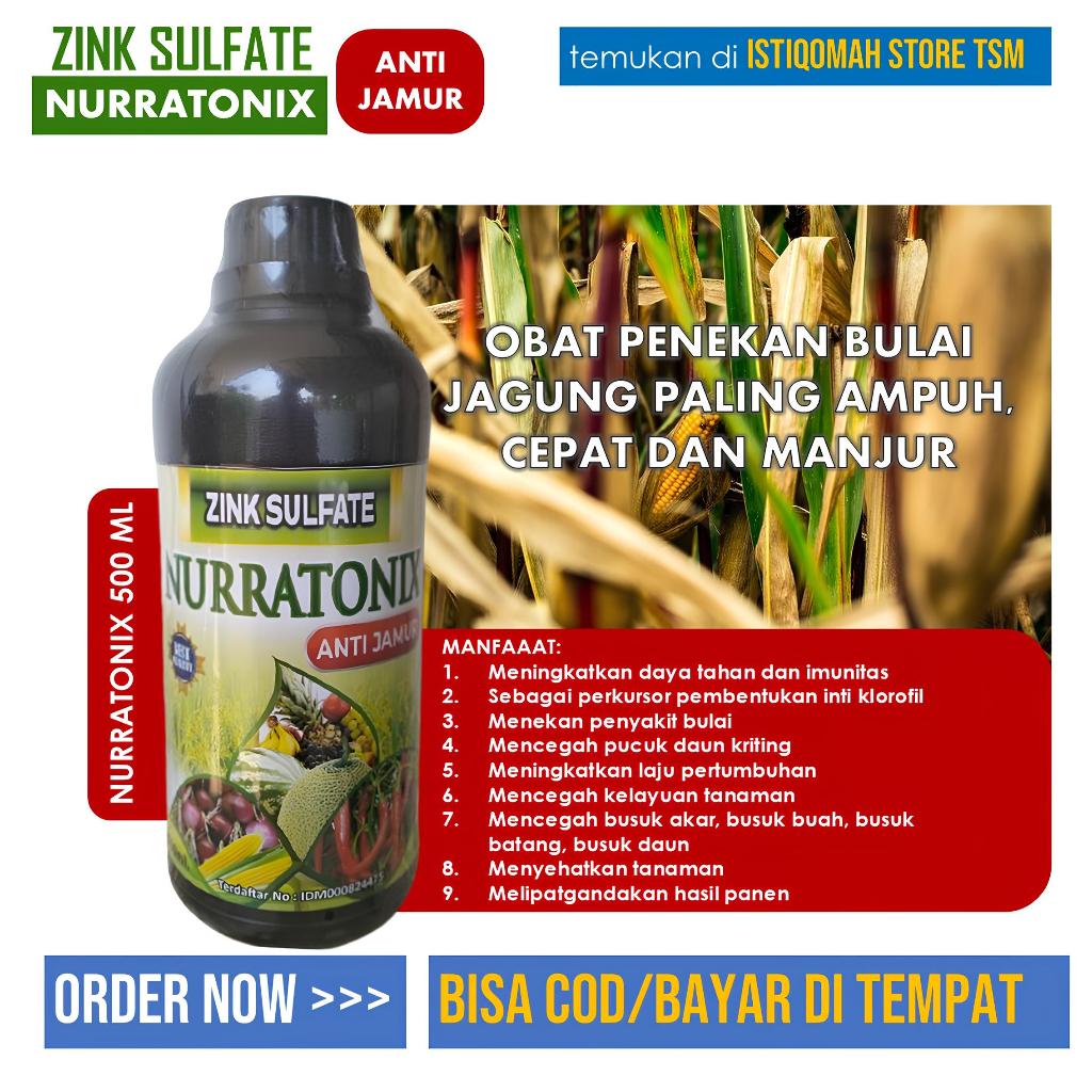 Jual Obat Organik Semprot Menekan Penyakit Bulai Pada Jagung ZINK SULFATE NURRATONIX ANTI JAMUR ...