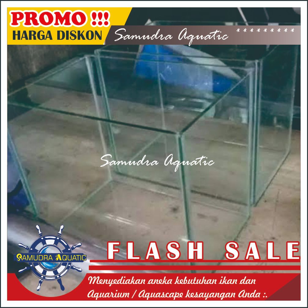 Jual AQUARIUM KACA | AQUARIUM SEDANG | AQUARIUM AQUASCAPE | (KHUSUS ...