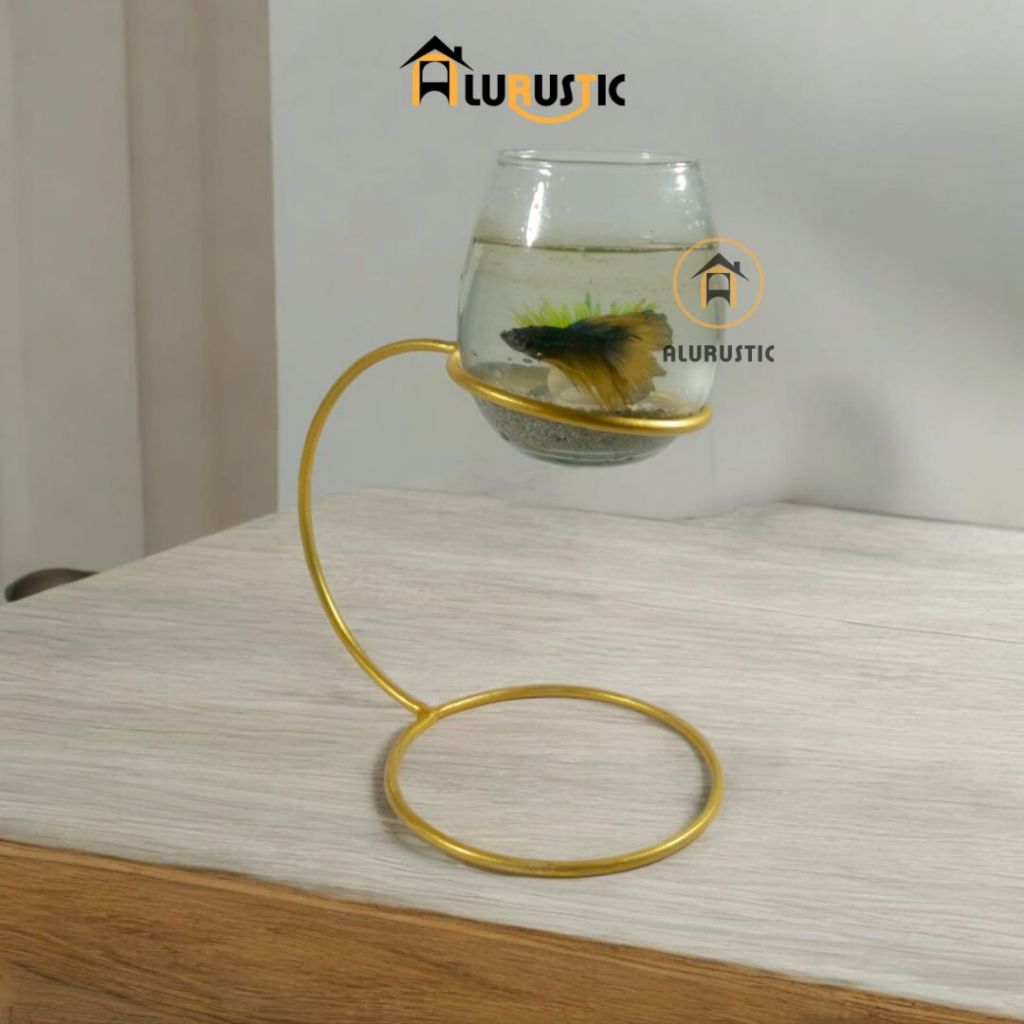 Jual AKUARIUM MINI IKAN ESTETIK GOLD / AQUARIUM IKAN CUPANG GUPPY ...