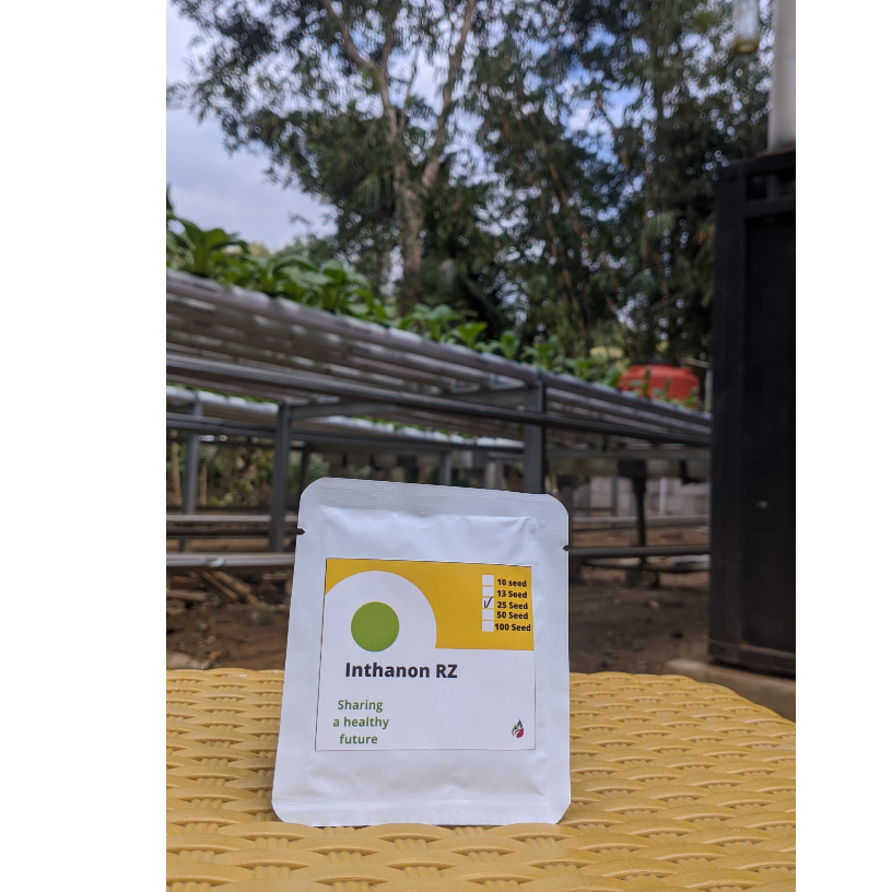 Jual Benih melon Rz inthanon kemasan 25 seed / biji Original pabrik ...