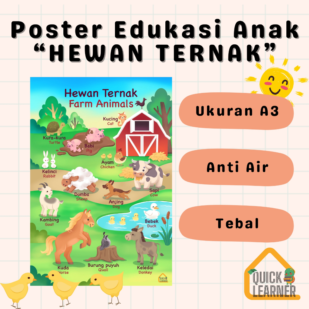 Jual Quick Learner Poster Edukasi Anak Belajar Hewan Ternak Untuk ...