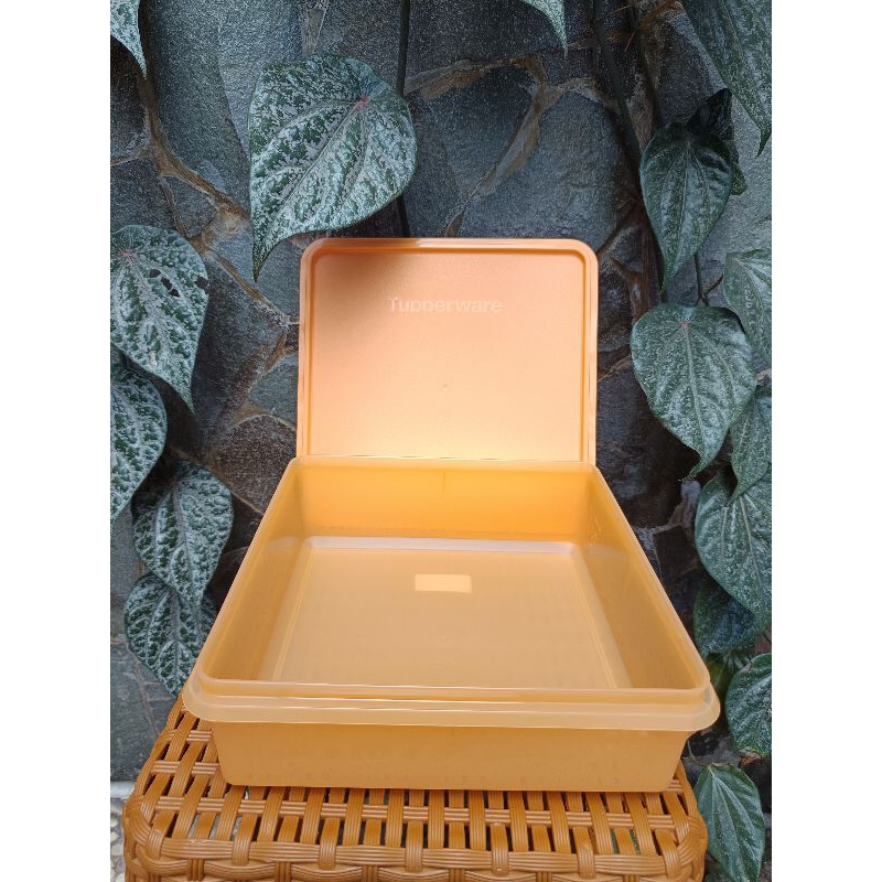 Jual SNACK STOR OREN (1) 2,9L TUPPERWARE | Shopee Indonesia