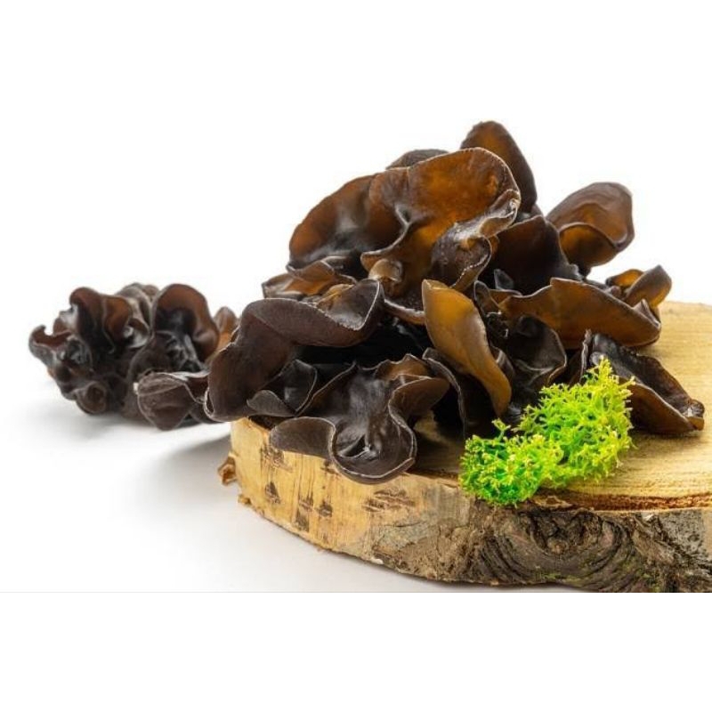 Jual Jamur Kuping / Jamur Kancing / Jamur Tiram / Jamur Enoki | Shopee ...