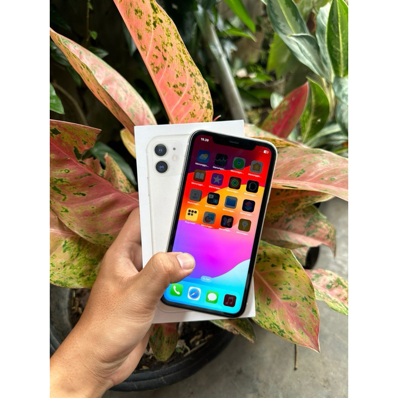 Jual Iphone 11 128 GB Ibox Warna Putih ( White ) | Shopee Indonesia
