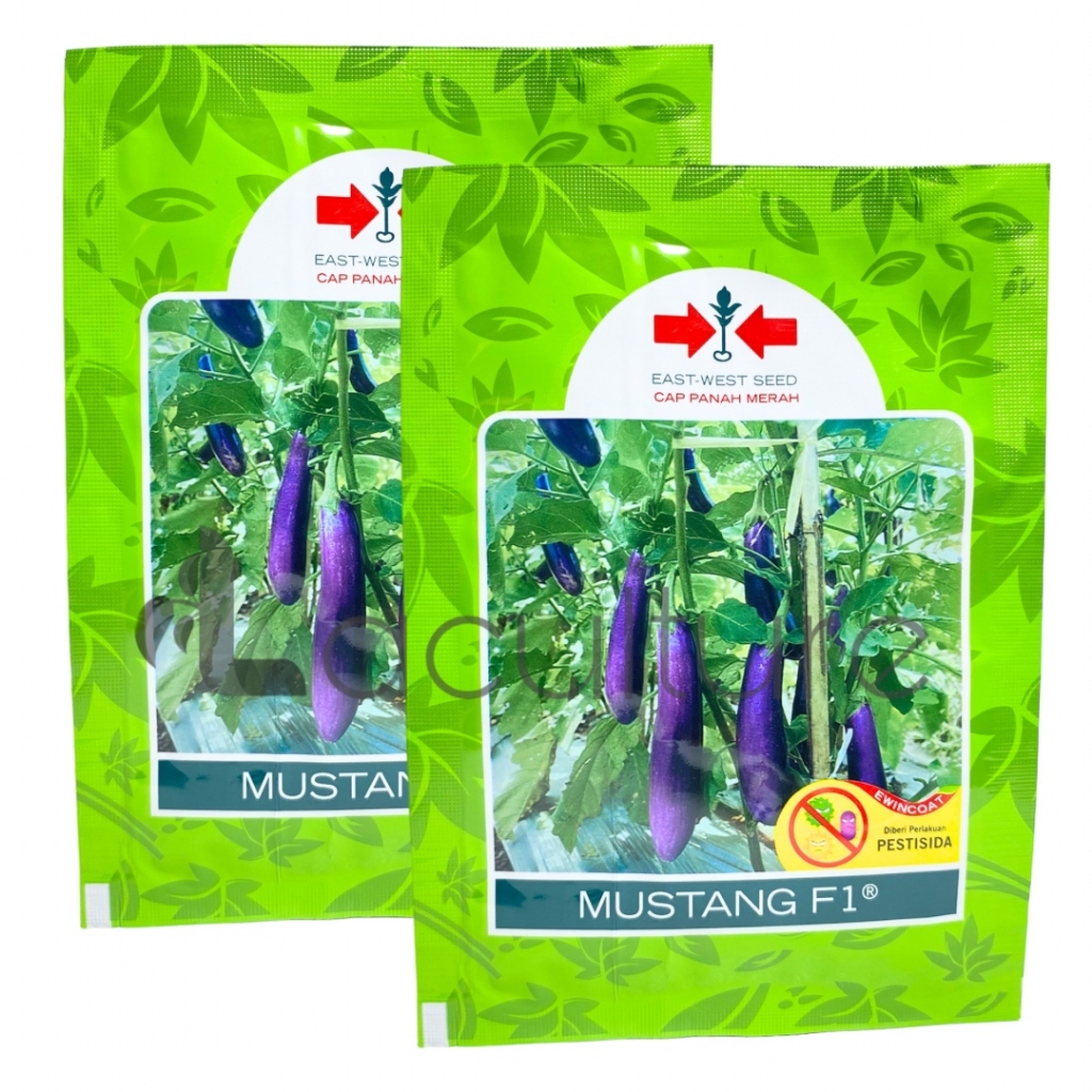 Jual Benih Terong Ungu MUSTANG F1 Isi 1100 Butir Cap Panah Merah | Shopee Indonesia