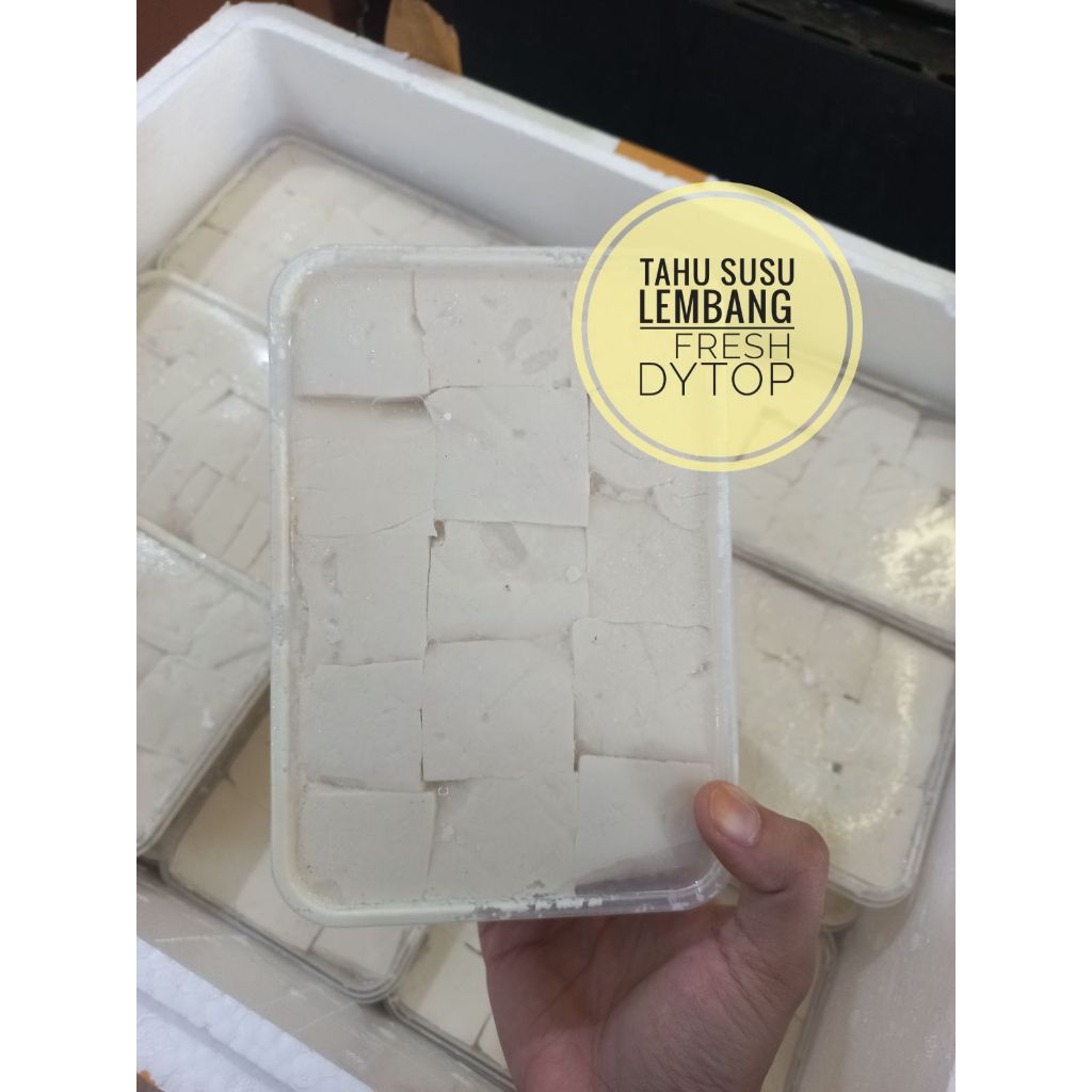 Jual Tahu Susu Lembang Fresh Segar - Per Kotak | Shopee Indonesia
