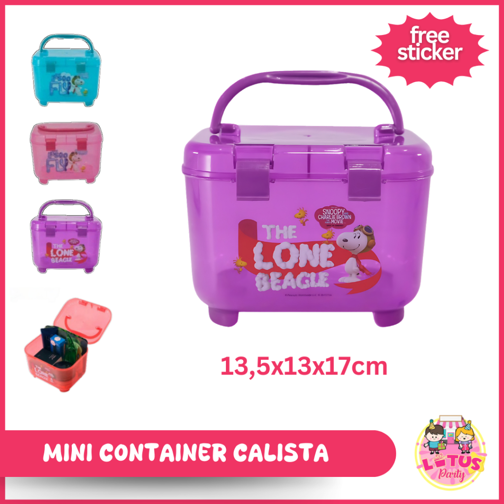 Jual MINI CONTAINER CALISTA/KOTAK ULANG TAHUN/KOTAK SERBAGUNA/MINI ...