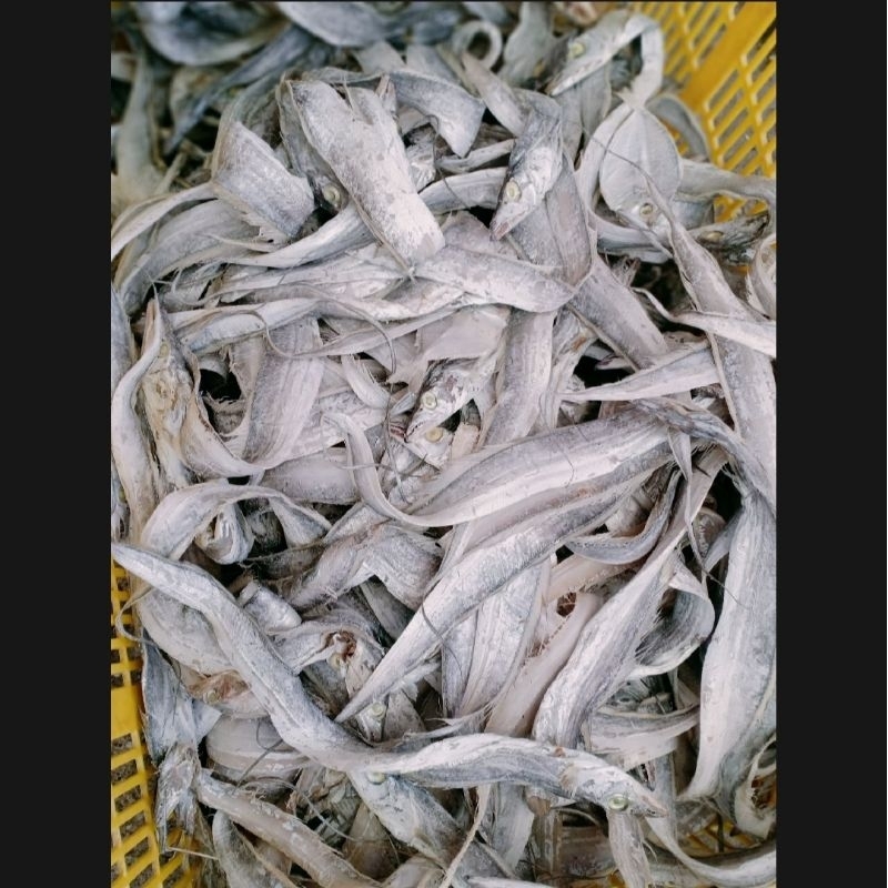 Jual IKAN LAYUR KEMASAN 250 GRAM | Shopee Indonesia