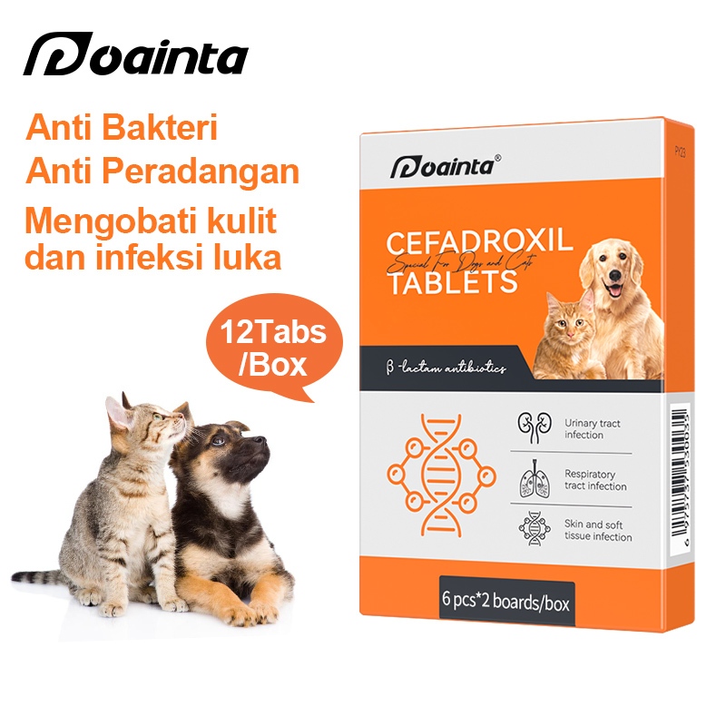 Jual PUAINTA Obat Anti Radang Hewan Peliharaan Untuk Anjing dan Kucing ...