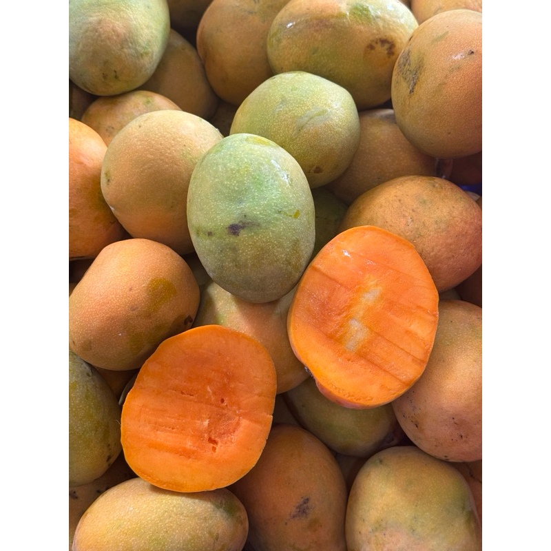 Jual Mangga Gincu / Mangga Gedong 1kg | Shopee Indonesia