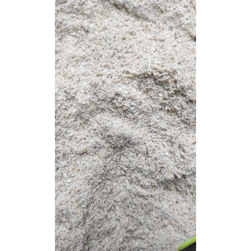 Jual DEDAK DEDEK BEKATUL KATUL MURNI PAKAN TERNAK | Shopee Indonesia