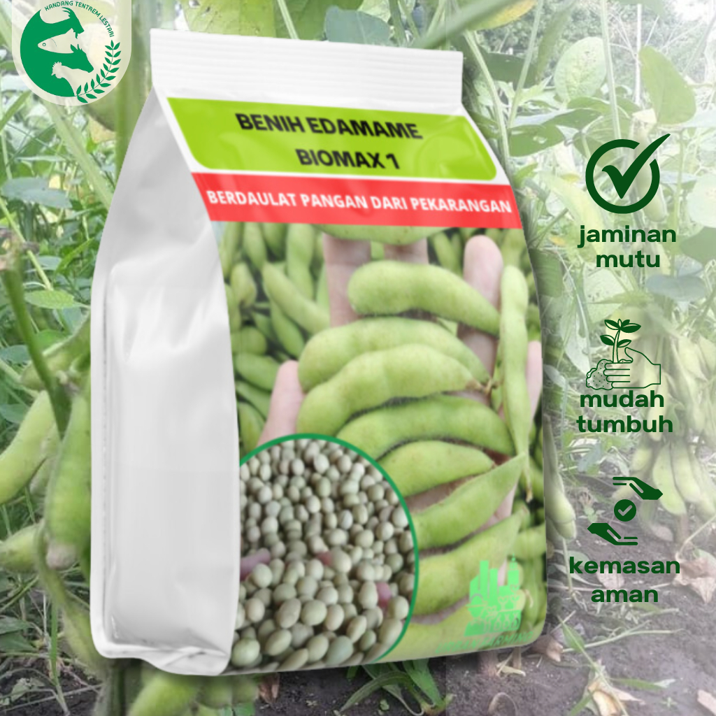 Jual Benih Edamame Kedelai Super 1kg BIOMAX 1 Manis Polong Besar Urban ...