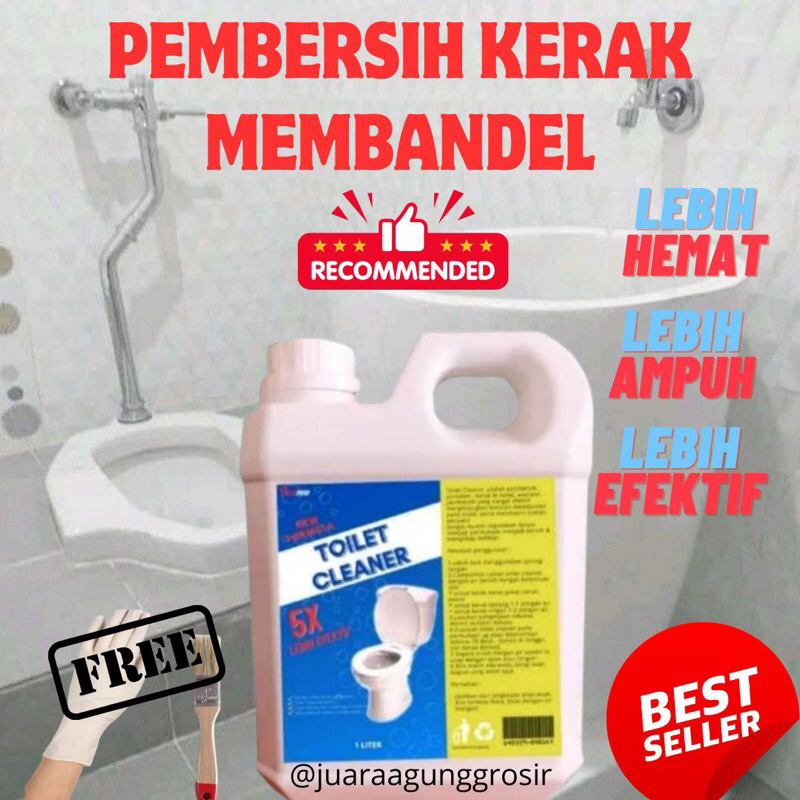 Jual FASTCLEAN TOILET CLEANER PEMBERSIH KERAK KAMAR MANDI 1 LITER ...