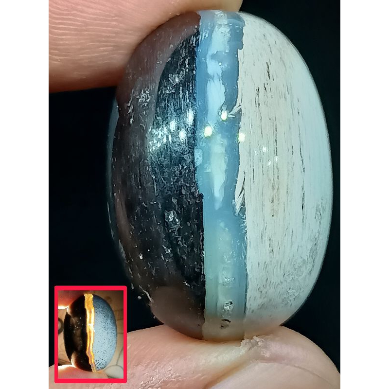 Jual Batu Posil Galih Kelor Hitam Putih Kendit Kristal Tembus | Shopee ...