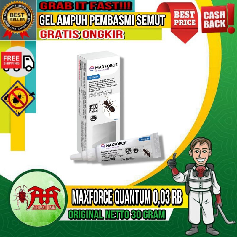 Jual MAXFORCE QUANTUM 0,03 RB | Insektisida Berbentuk Gel Umpan Pembasmi Semut | Shopee Indonesia
