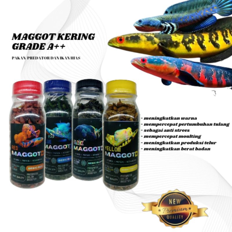 Jual PAKAN PREDATOR MAGGOT KERING GRADE A++ | MAGGOT YELLOW | MAGGOT ...