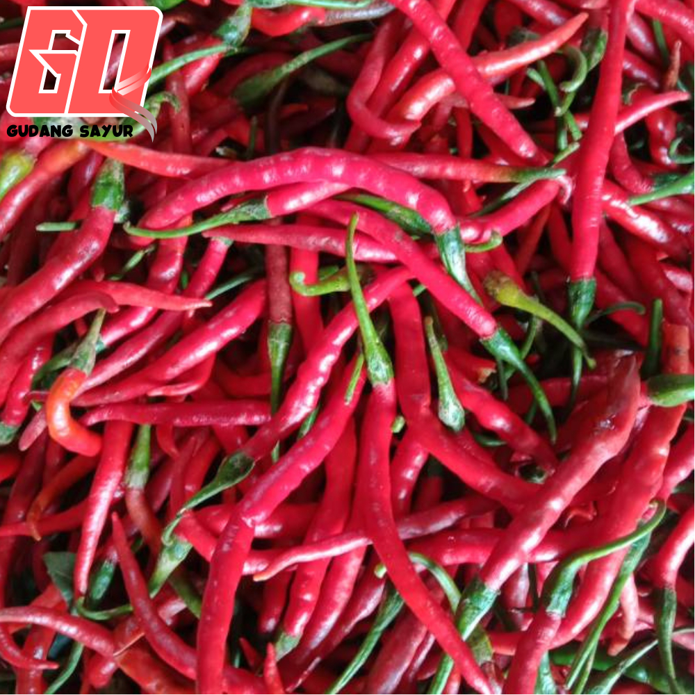 Jual Cabe / Cabai Keriting Merah Fresh & Segar 1KG | 500GRAM | 250GRAM ...