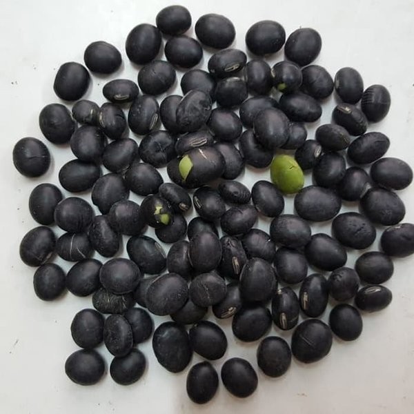 Jual 1kg Black Turtle Bean / Kacang Kedelai Hitam HALAL Kongjaban ...