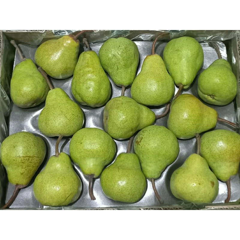 Jual Buah Pir Packham Afrika (350gr) | Shopee Indonesia
